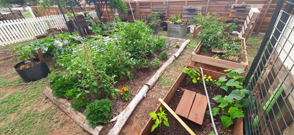 Life Pruning – A Practical Walk